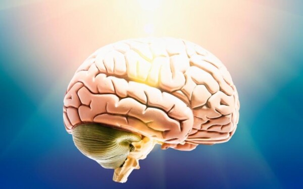 77 Brain Statistics, Facts, and Figures to Educate Marketers - DreamMaker